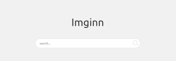 Imginn Instagram Viewer & Downloader: Is it Safe? Instagram Official Report